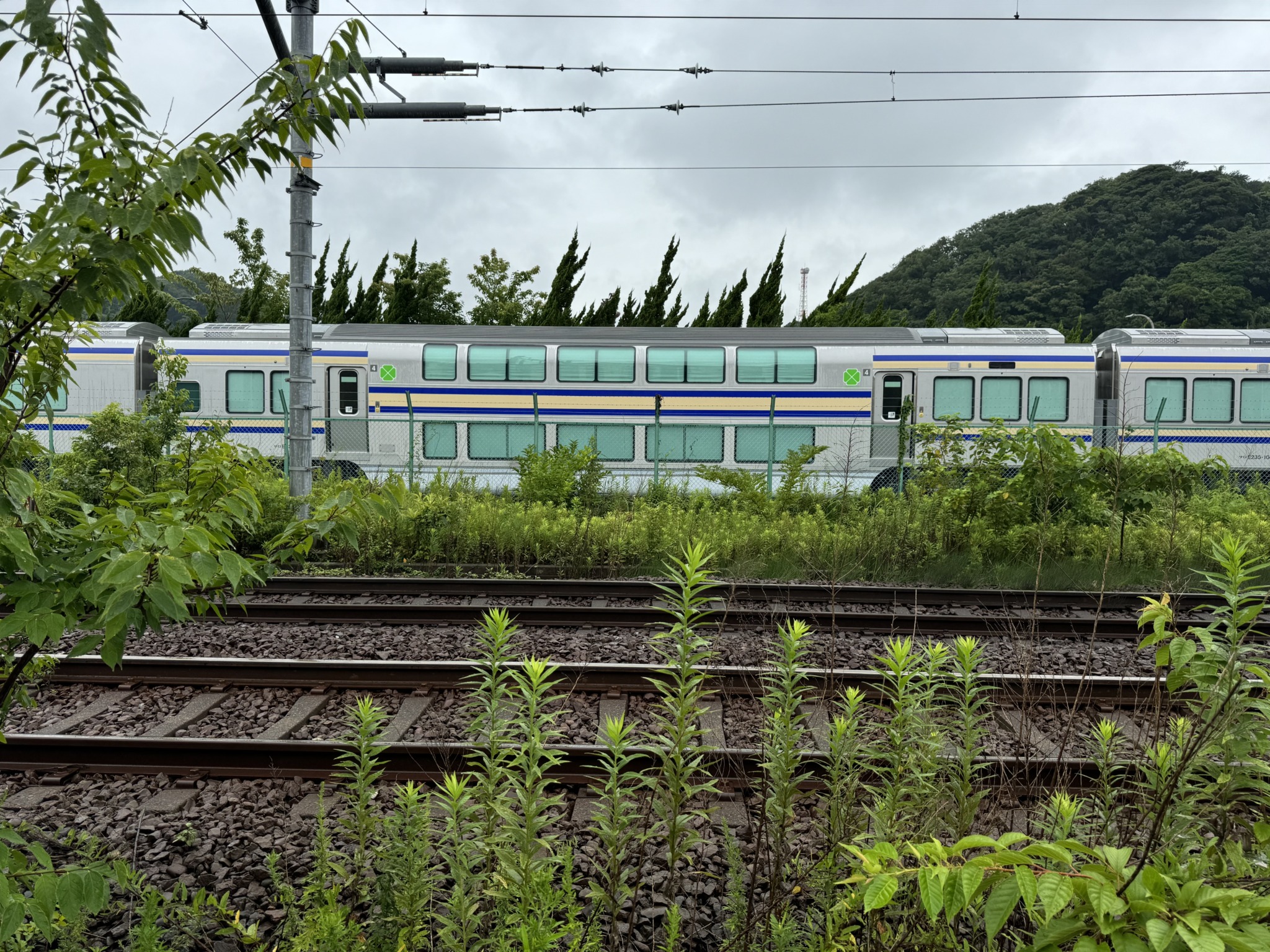 【鉄道】2024/7/16 JR東日本横須賀・総武快速線 E235系グリーン車（F-43・F-44・F-45編成） 6両甲種輸送（逗子） | とむの鉄道趣味日記(Tom's hobby diary)